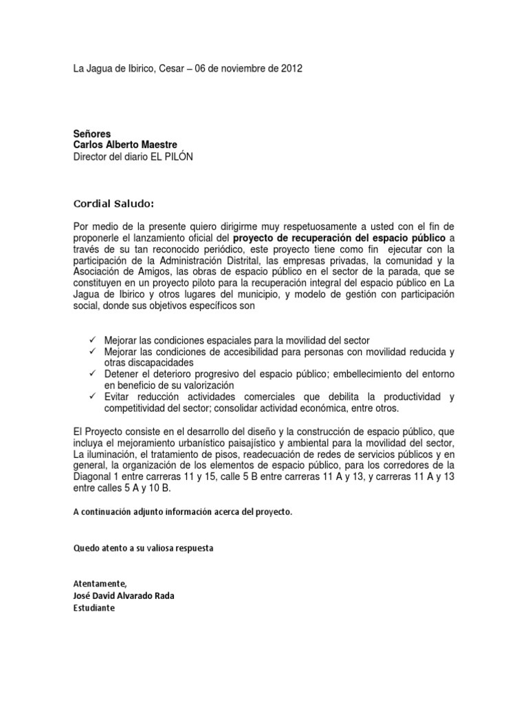 Carta Espacio Publico | PDF | Calle | Economias