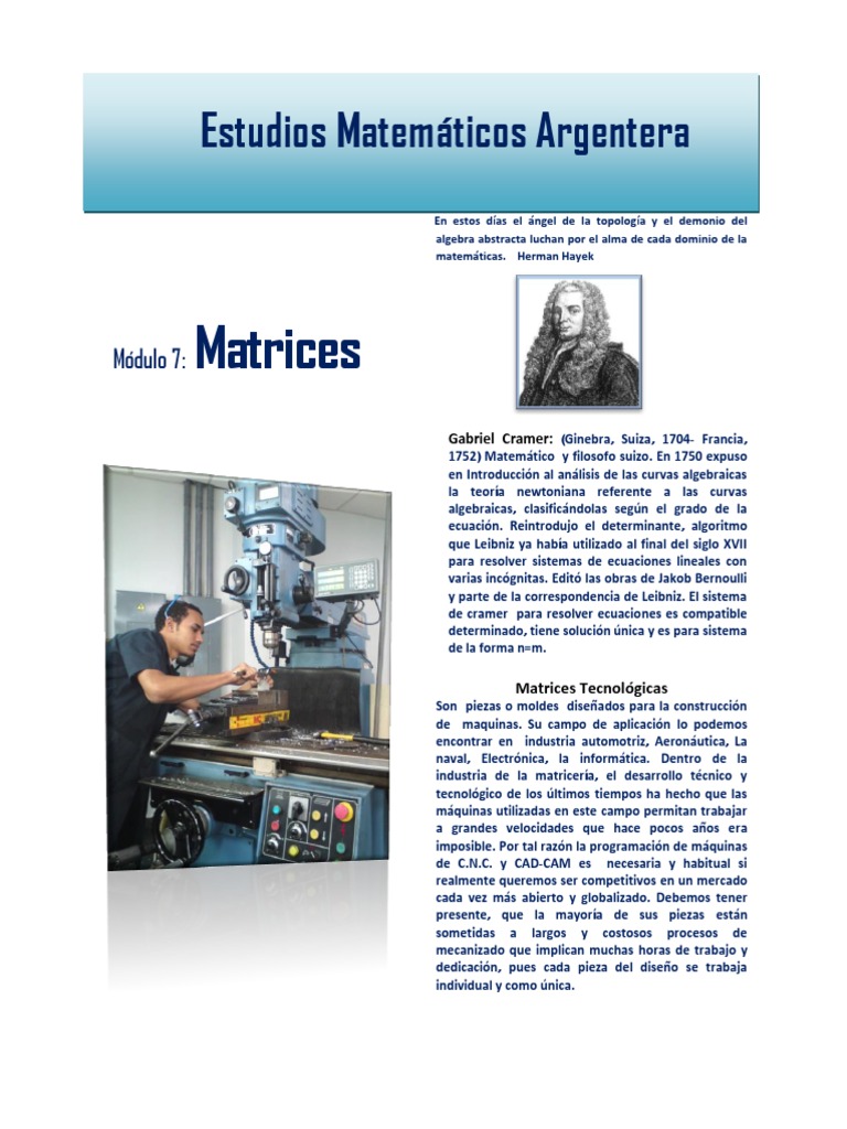 Modulo 7. Matrices | PDF | Determinante | Matriz (Matemáticas)