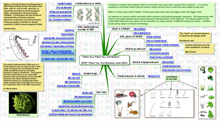 "DNA Is A Fractal Antenna" EMF, Fractal Antennas, and DNA | PDF ...