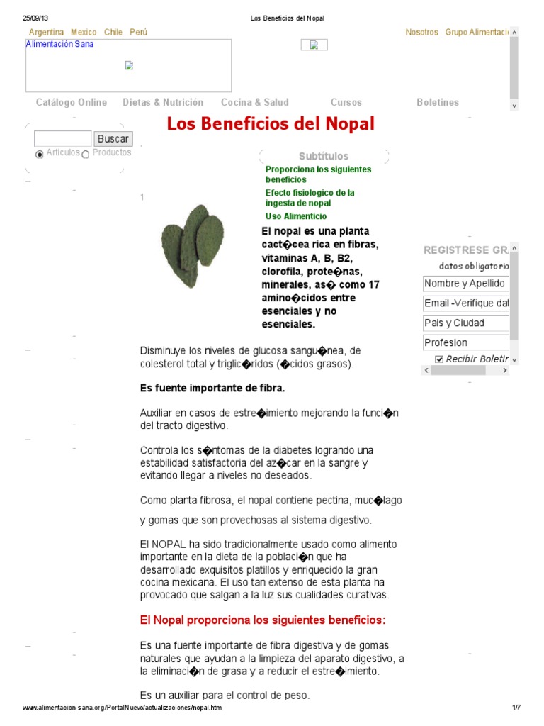 Los Beneficios Del Nopal PDF | Fibra dietética | Dieta y nutrición