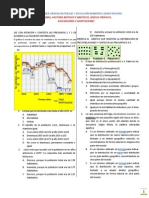 Crucigrama Respuestas | PDF | Entorno natural | Vida