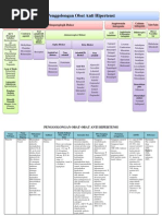 Petunjuk Penggunaan OAT-FDC PDF | PDF | Kesehatan Holistik