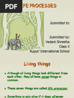 The Seven Life Processes | PDF