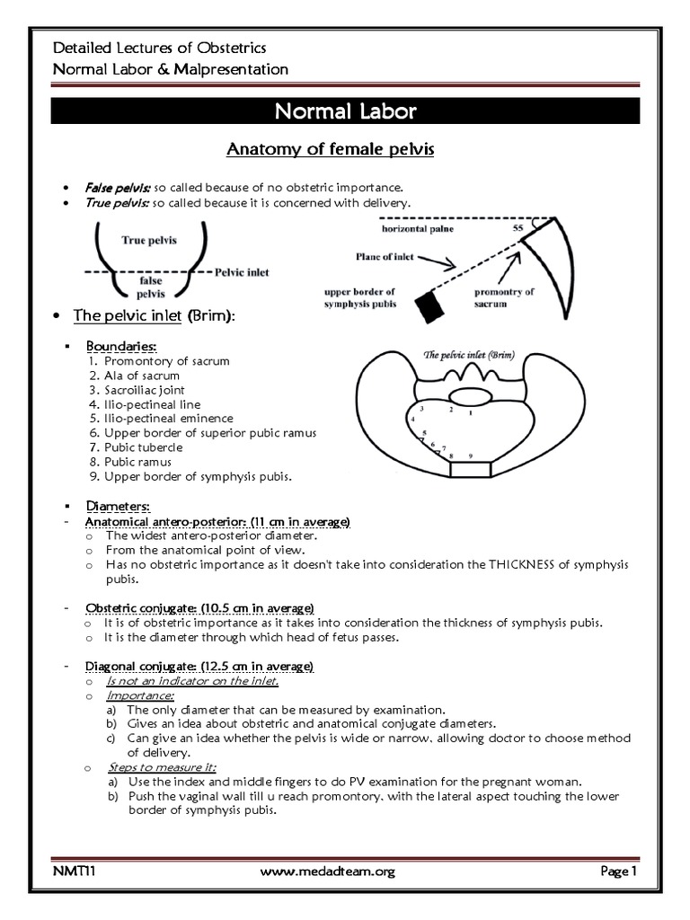 Normal Labor PDF | PDF | Pelvis | Childbirth