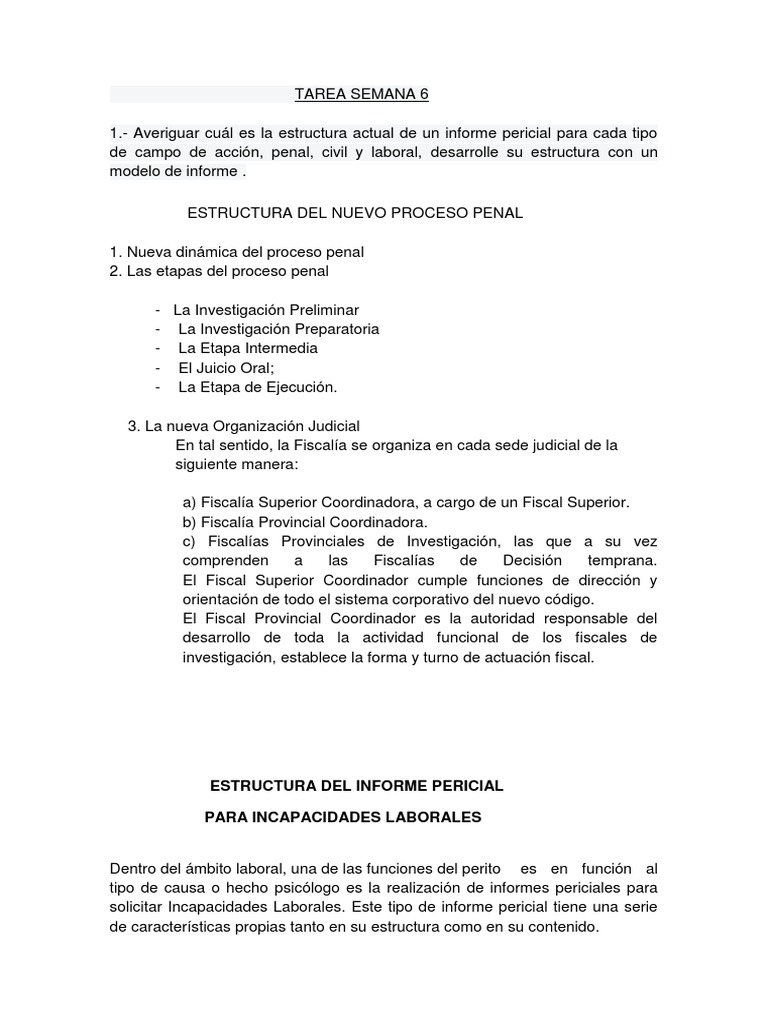 Modelo de Informe Pericial NCPP | PDF | Pagaré | Testigo experto