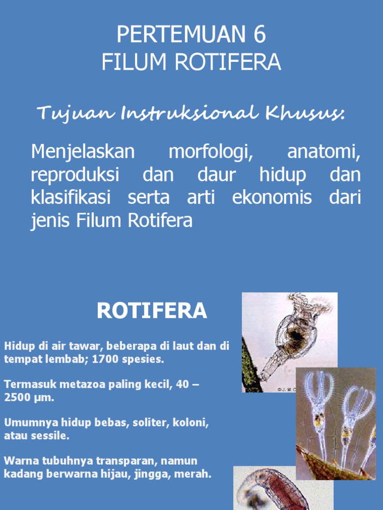 01 Rotifera | PDF