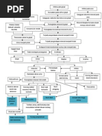 Pathway Batu Ginjal | PDF | Kesehatan Holistik | Sains & Matematika