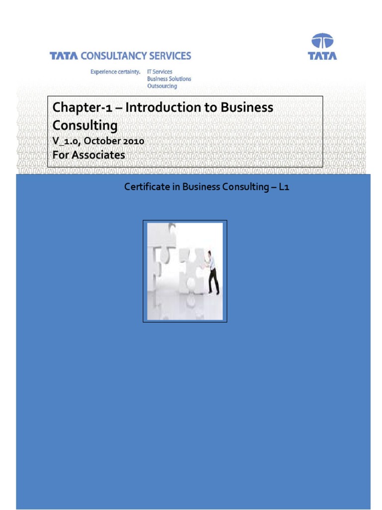 Introduction to Business Consulting | PDF | Consultant | Expert