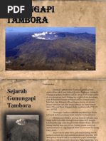 Karakteristik dan Contoh Gunung Api Maar | PDF | Sains & Matematika
