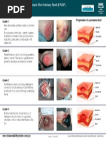 EPUAP Pressure Ulcer Grading Tool | PDF | Skin | Endocrine System