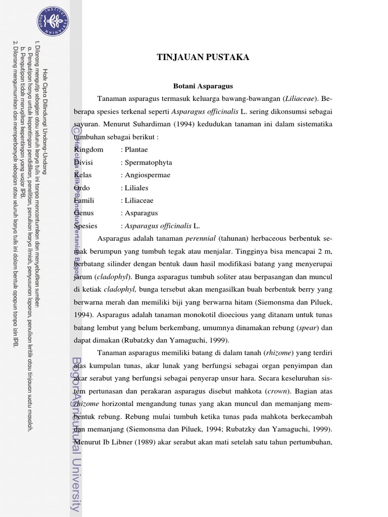 Bab II Tinpus Asparagus | PDF