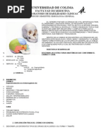 Signo del Témpano y Fabela en Rodilla | PDF | Rodilla | Pie