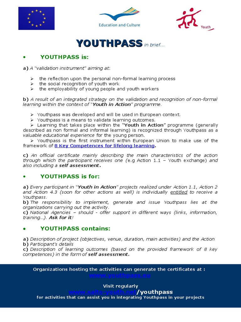 YOUTHPASS Standard Information Sheet | PDF | Competence (Human ...