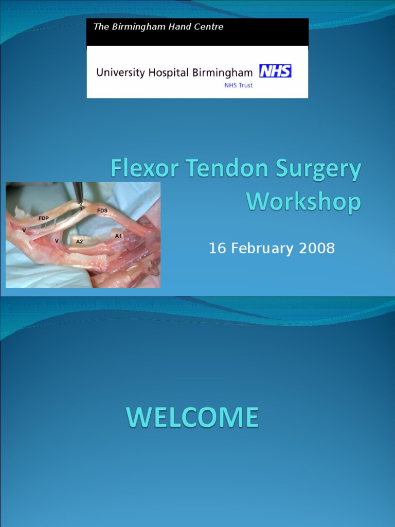 Flexor Tendon Healing Insights | PDF | Tendon | Growth Factor