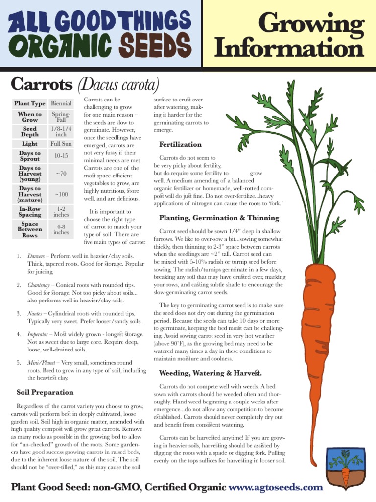 How To Grow Carrots: Detailed Cultivation | PDF | Carrot | Sowing