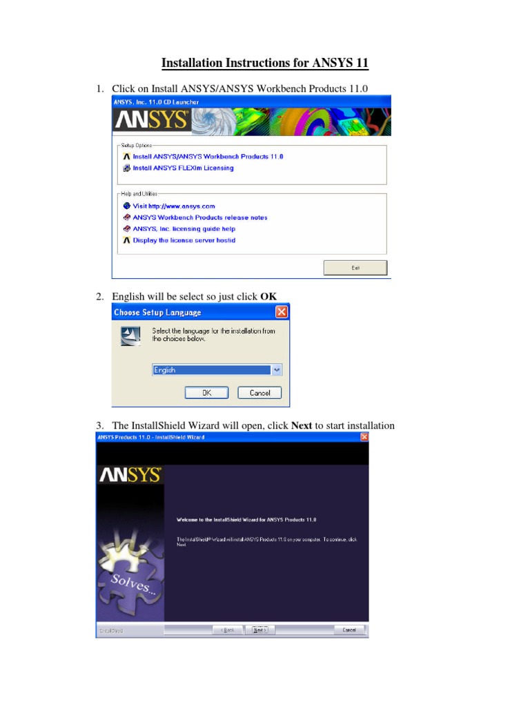 ANSYS 11 Installation Guide | PDF