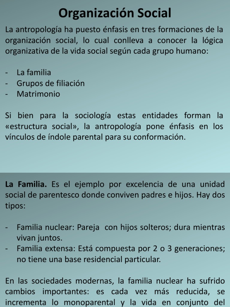 Organización Social: Familia y Política | PDF | Familia | Matrimonio