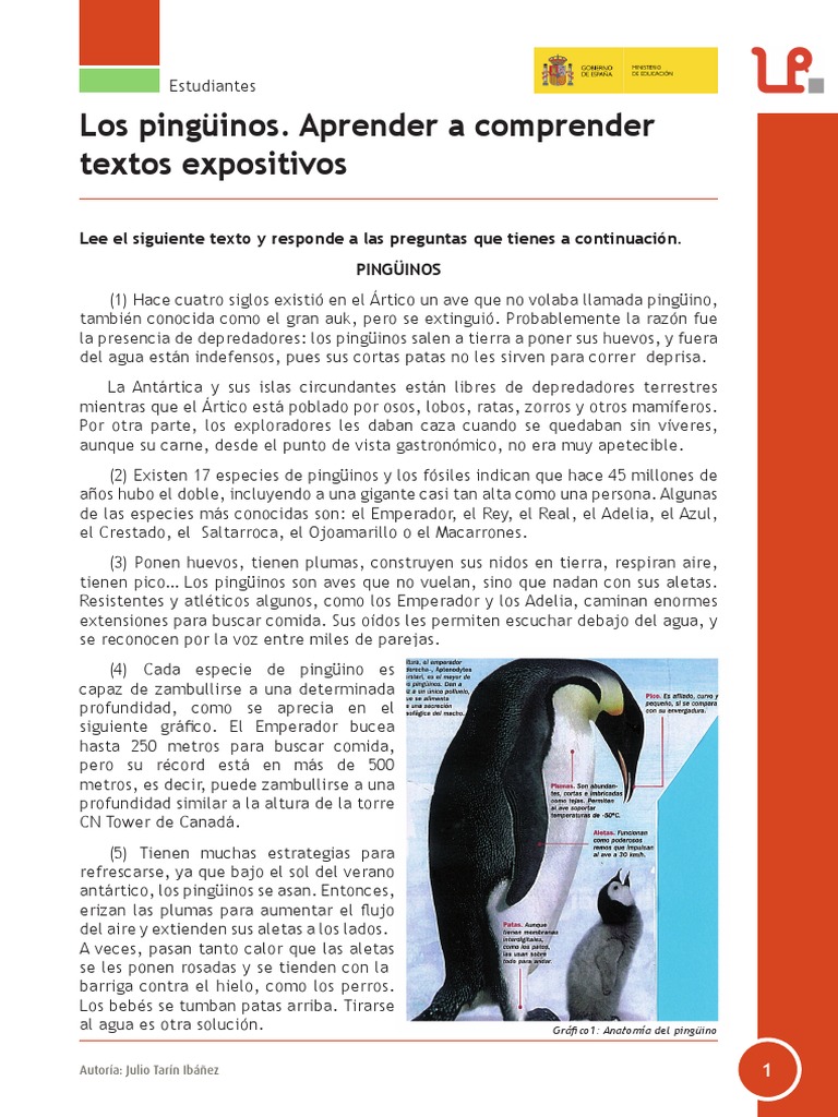 Pingüinos | Pingüino | Aves