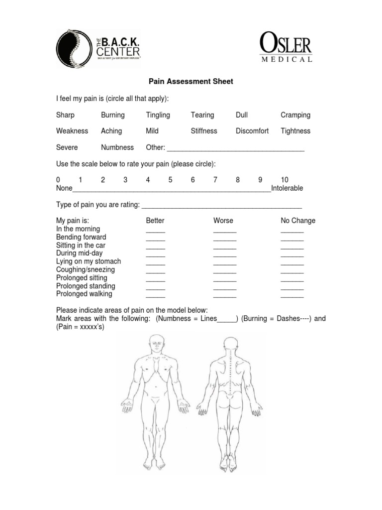 Pain Assessment Sheet | PDF | Self-Improvement