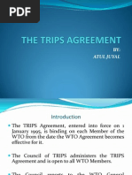 TRIPS Agreement | PDF | Trips Agreement | Intellectual Property