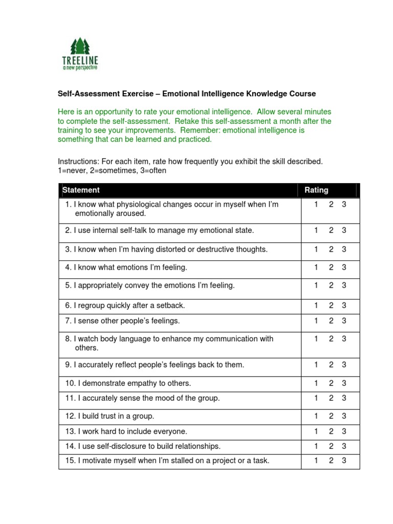 Self Assessment Exercise | PDF | Emotional Intelligence | Emotions