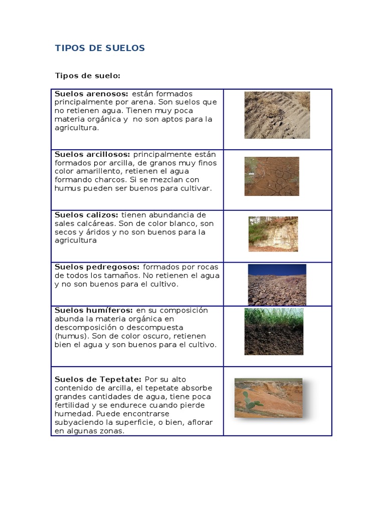 Tipos De Suelos Pdf