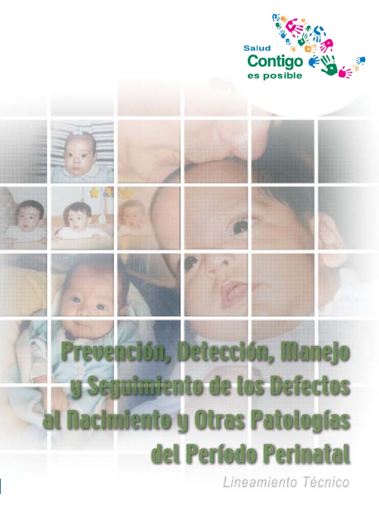 Periodo Perinatal | PDF | El embarazo | Infantes