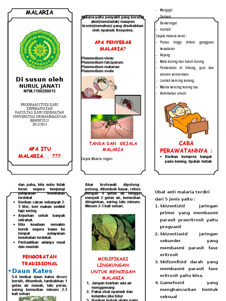 Leaflet Malaria | PDF