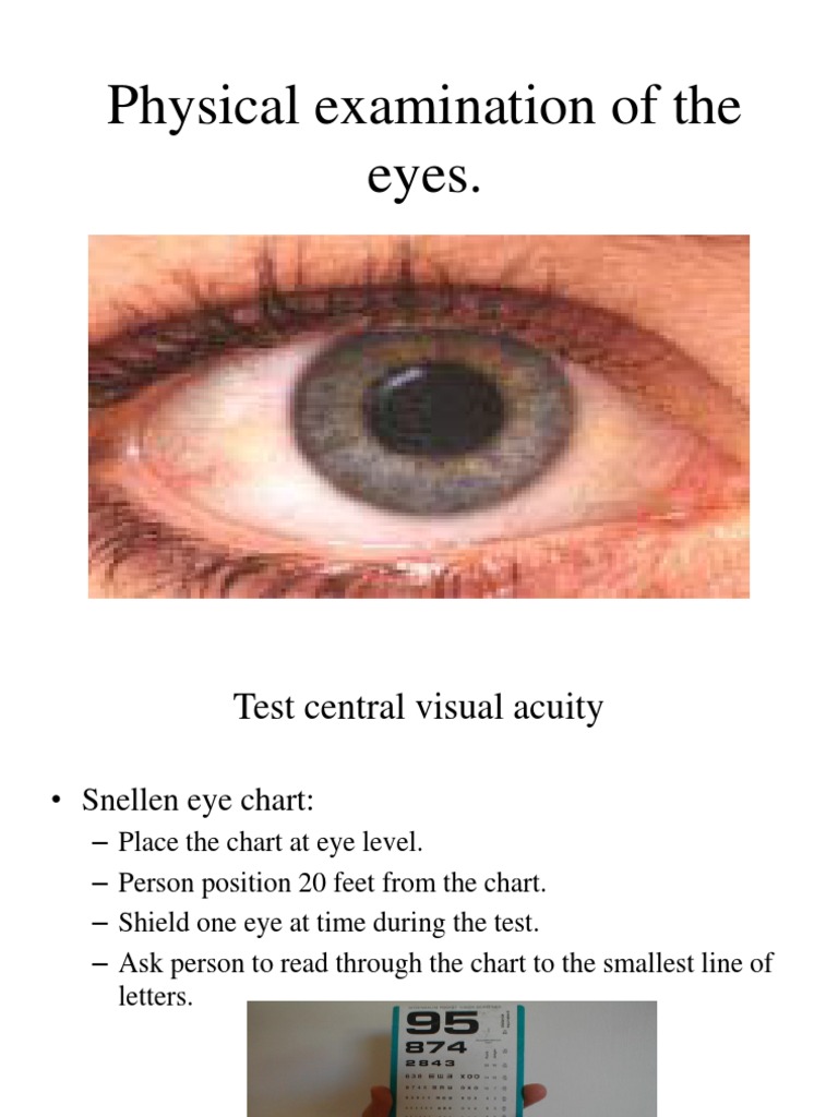 Physical Examination of The Eyes | PDF | Visual Acuity | Human Eye