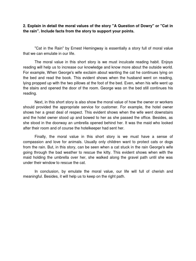 Moral Lessons in Hemingway's "Cat in the Rain" | PDF | General Fiction