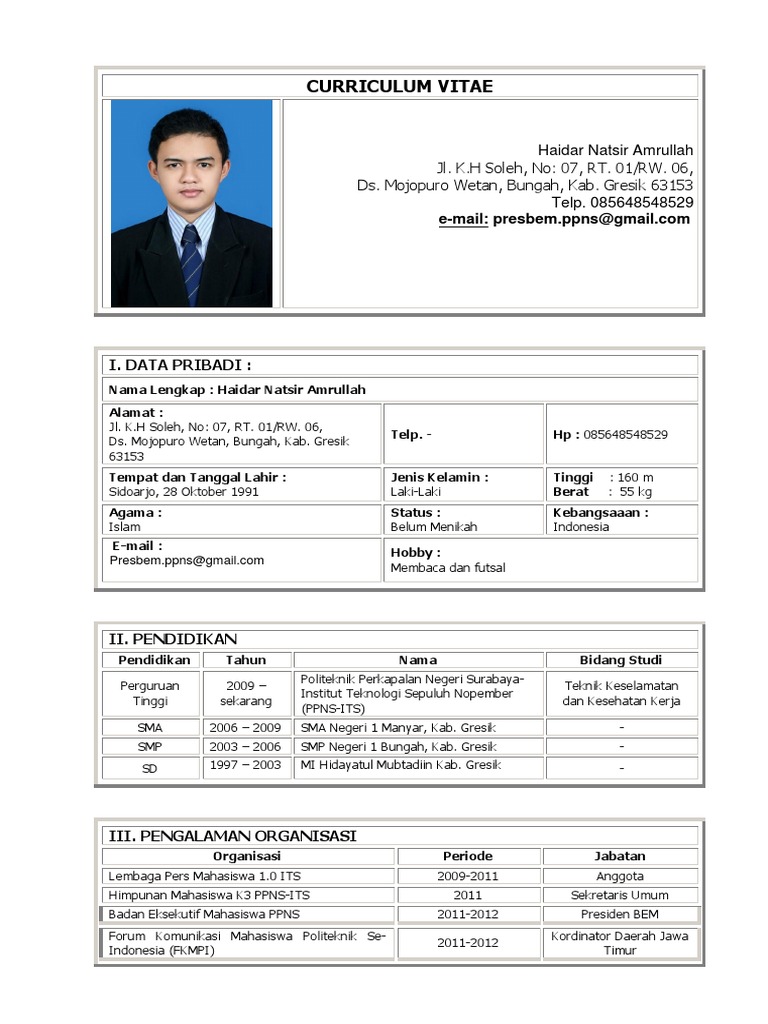 Curriculum Vitae Haidar | PDF