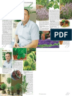Ruze Topalovic Katalog | PDF