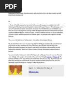 Uhc Appeal Form | PDF | Patient | Service Industries