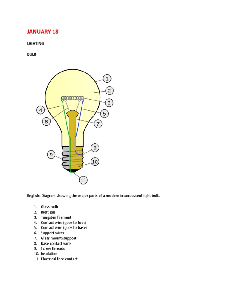 Lighting | PDF | Lighting | Incandescent Light Bulb