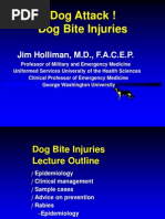Ian Dunbar Dog Bite Scale | PDF | Dogs | Wound