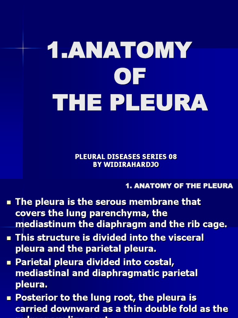 1.anatomy of The Pleura | PDF | Lung | Human Anatomy
