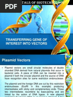 Rosie The Transgenic Cow | PDF