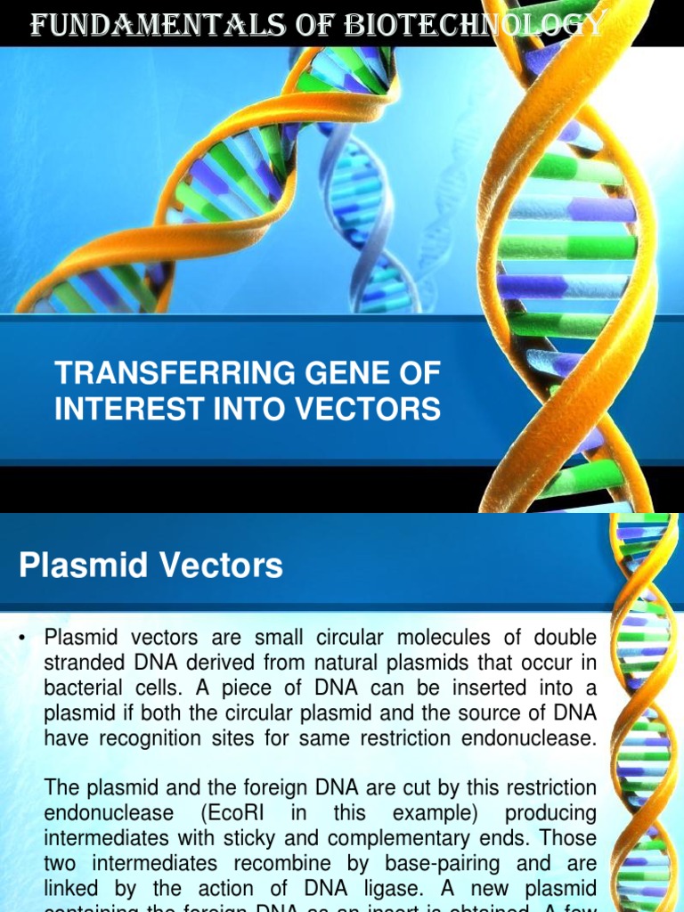 Linker, Adaptor, Homopolymer Tailing | PDF | Plasmid | Restriction Enzyme