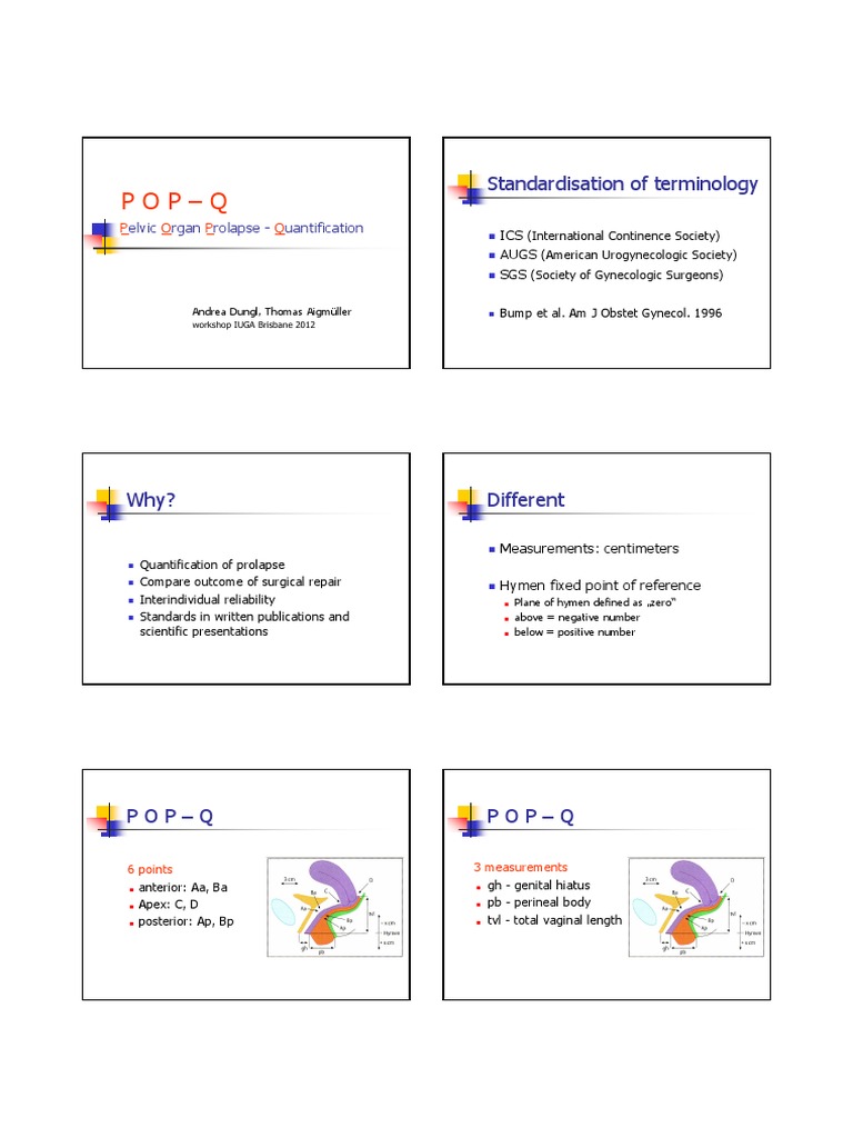 Pop-Q Iuga | PDF | Vagina | Anatomical Terms Of Location