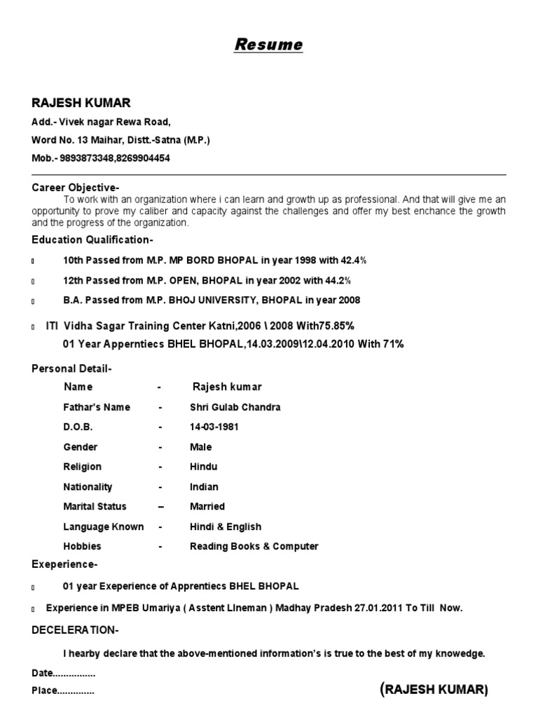 Rajesh Kumar's Professional Resume | PDF