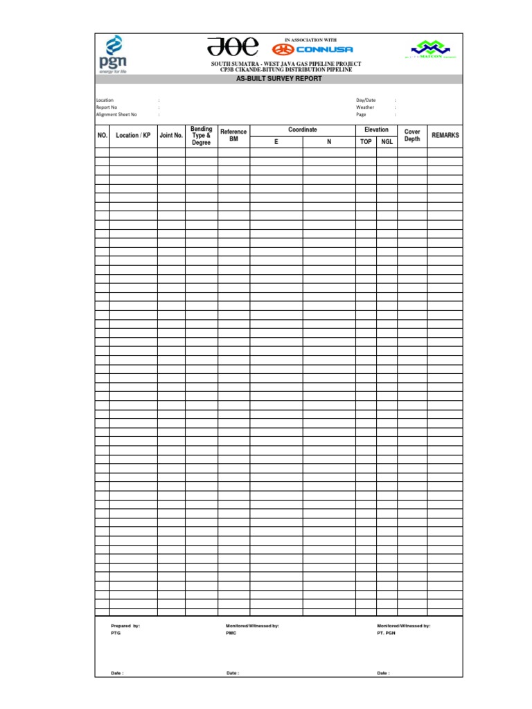Form As Built Survey Report | PDF