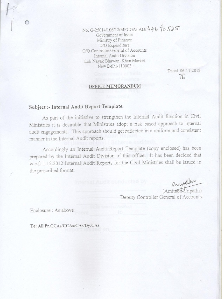 Internal Audit Report Template 1 | Download Free PDF | Auditor's Report ...