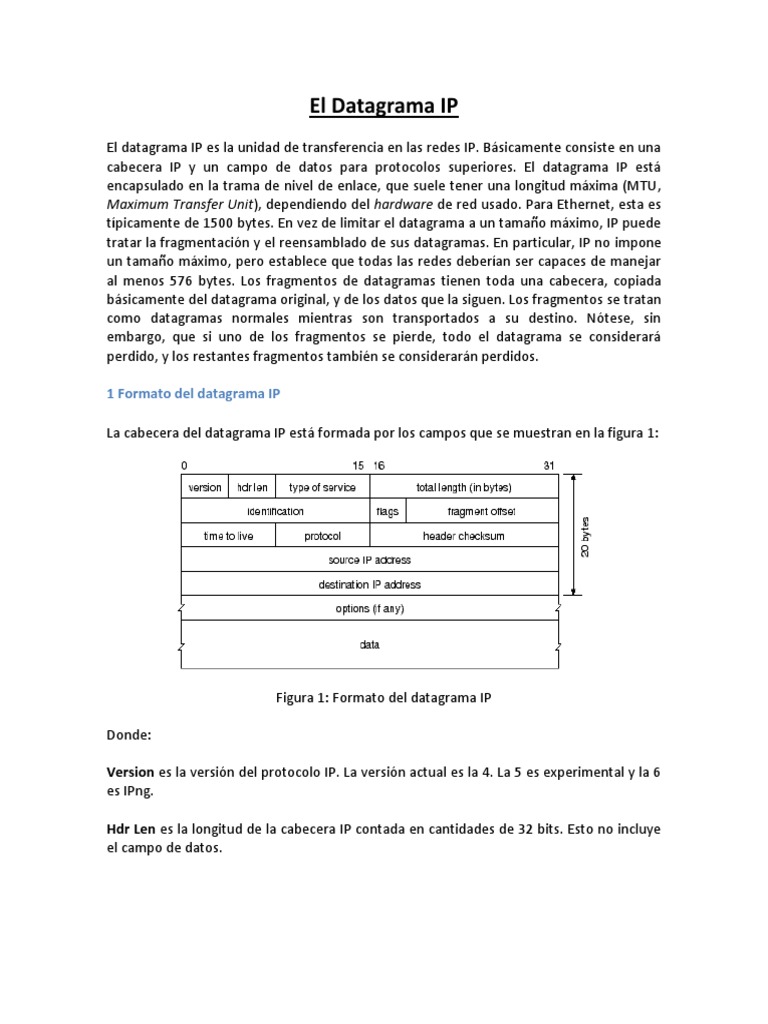 Guía del Datagrama IP y su Fragmentación | PDF | Protocolos de internet ...