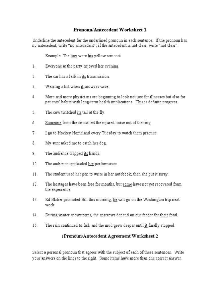 Pronoun Antecedent Worksheet | PDF | Syntactic Relationships | Language ...
