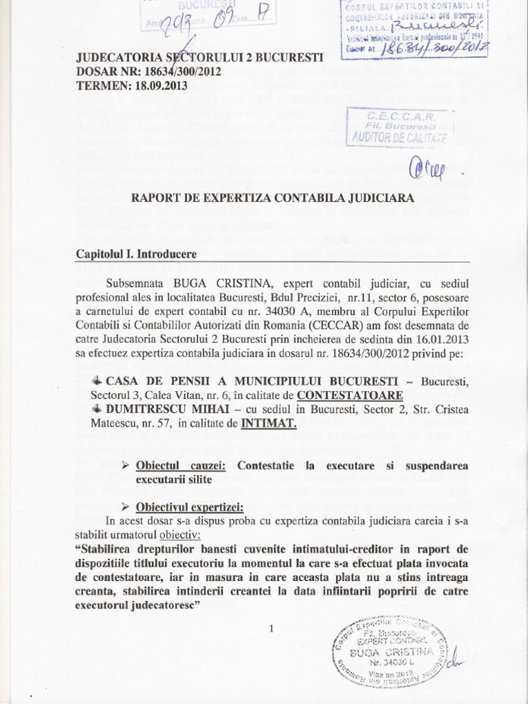 Raport Expertiza Contabila