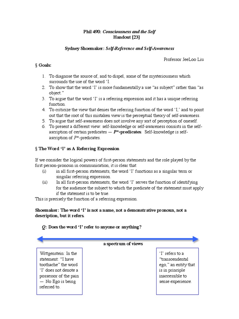 490 (23) Shoemaker Self-Reference | PDF | Self Awareness | Perception