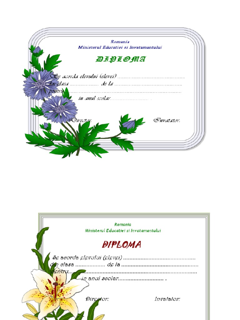 Model Diplome | PDF