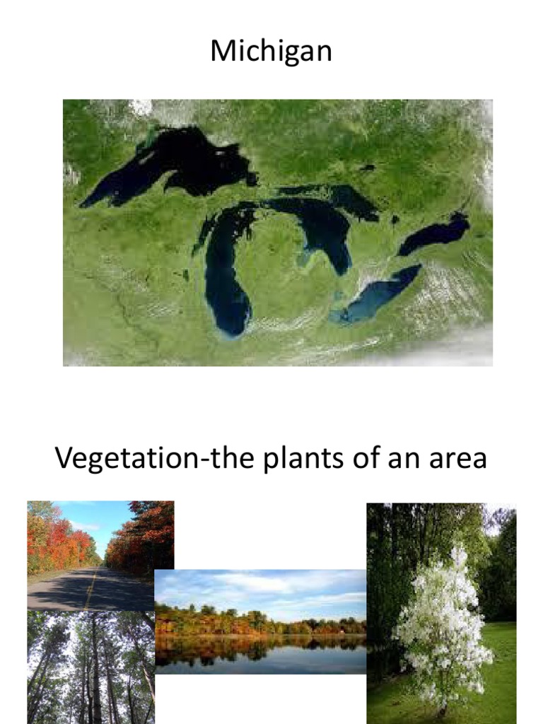 Third Grade Geography Power Point | PDF