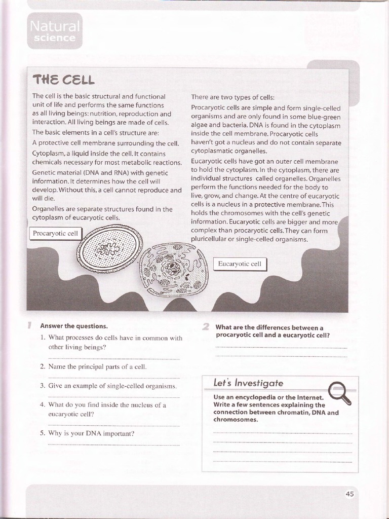The CELL | PDF | Science & Mathematics