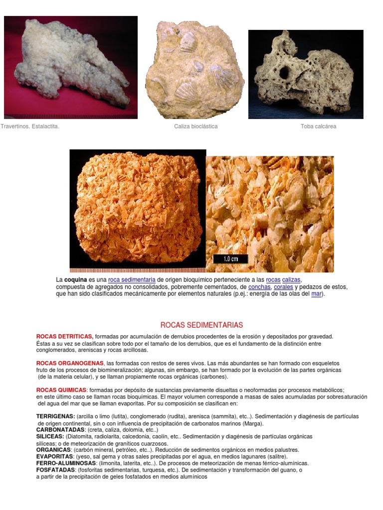 Hoja De Trabajo Sobre Rocas Sedimentarias